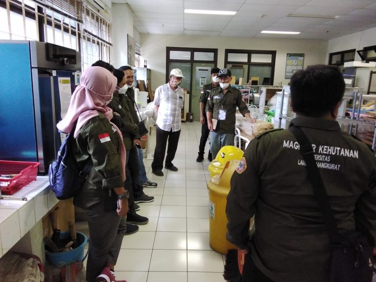 teknologihutan.fkt.ugm.ac.id – Departement of Forest Products ...